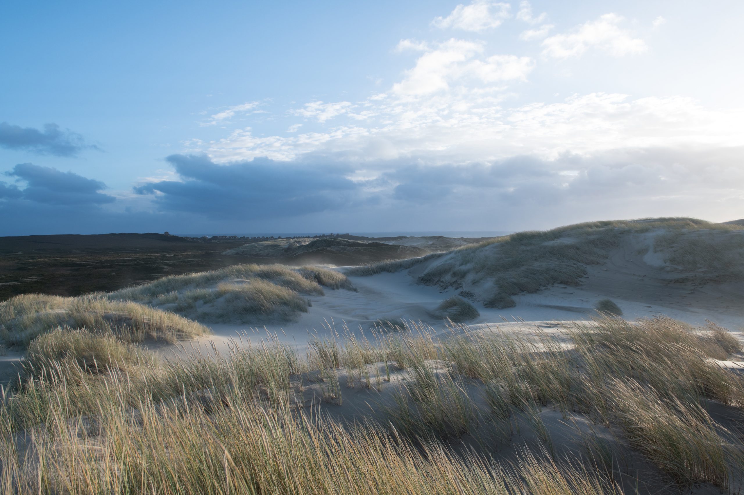 Frauen Nothilfe Sylt e.V. – Wohltätigkeitsorganisation