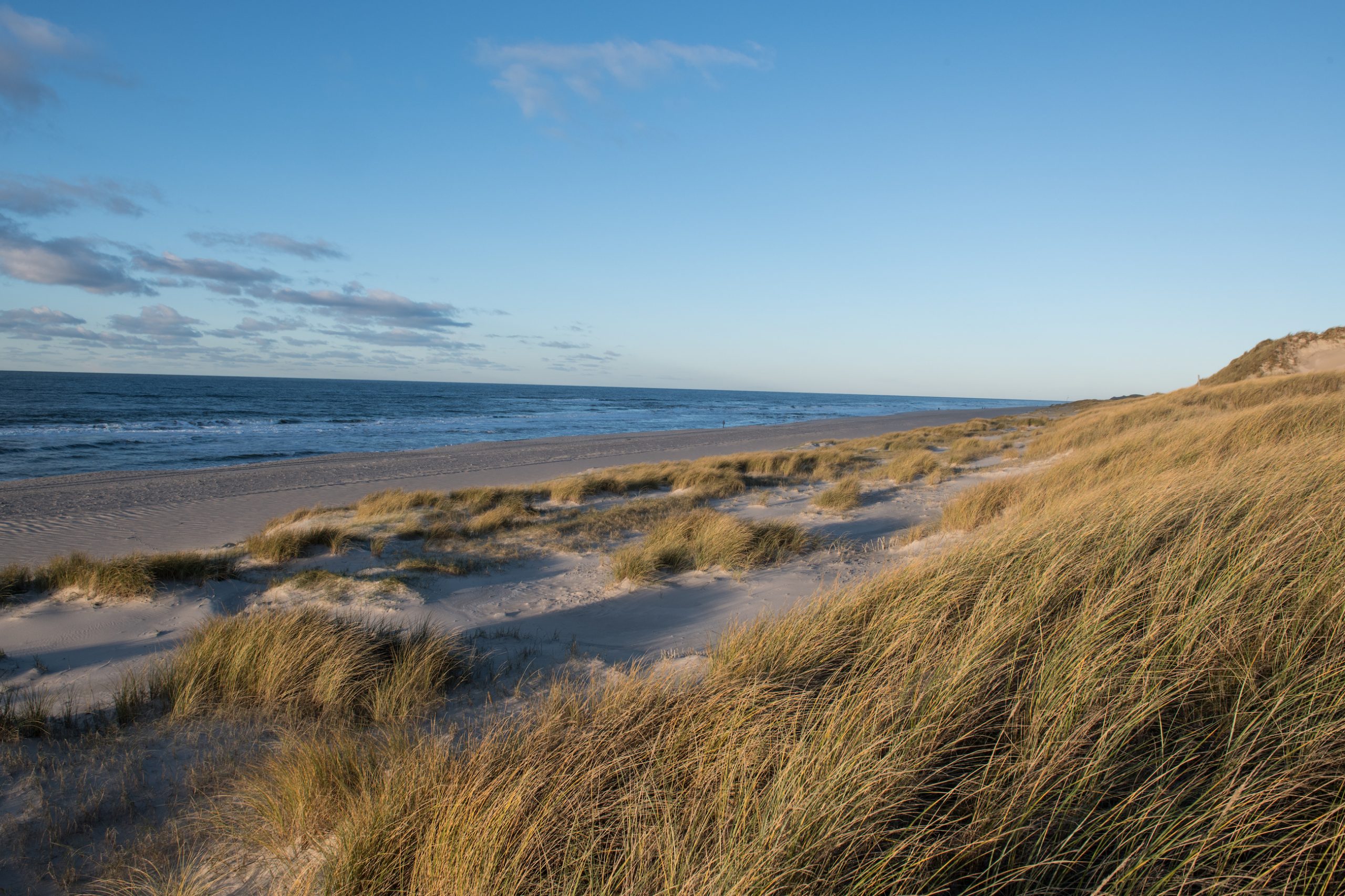 Frauen Nothilfe Sylt e.V. – Wohltätigkeitsorganisation